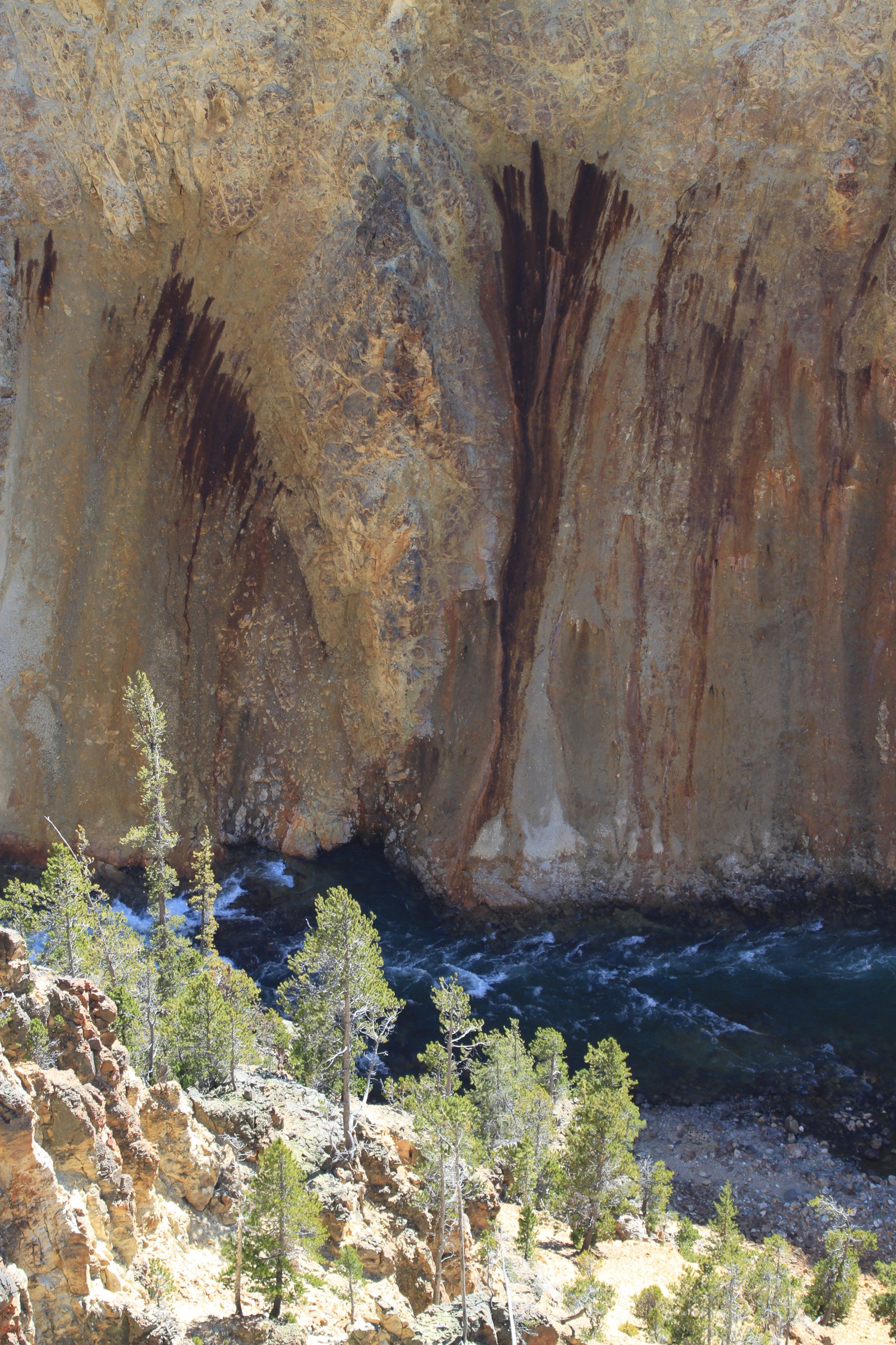 Lookout Point | Natural Atlas
