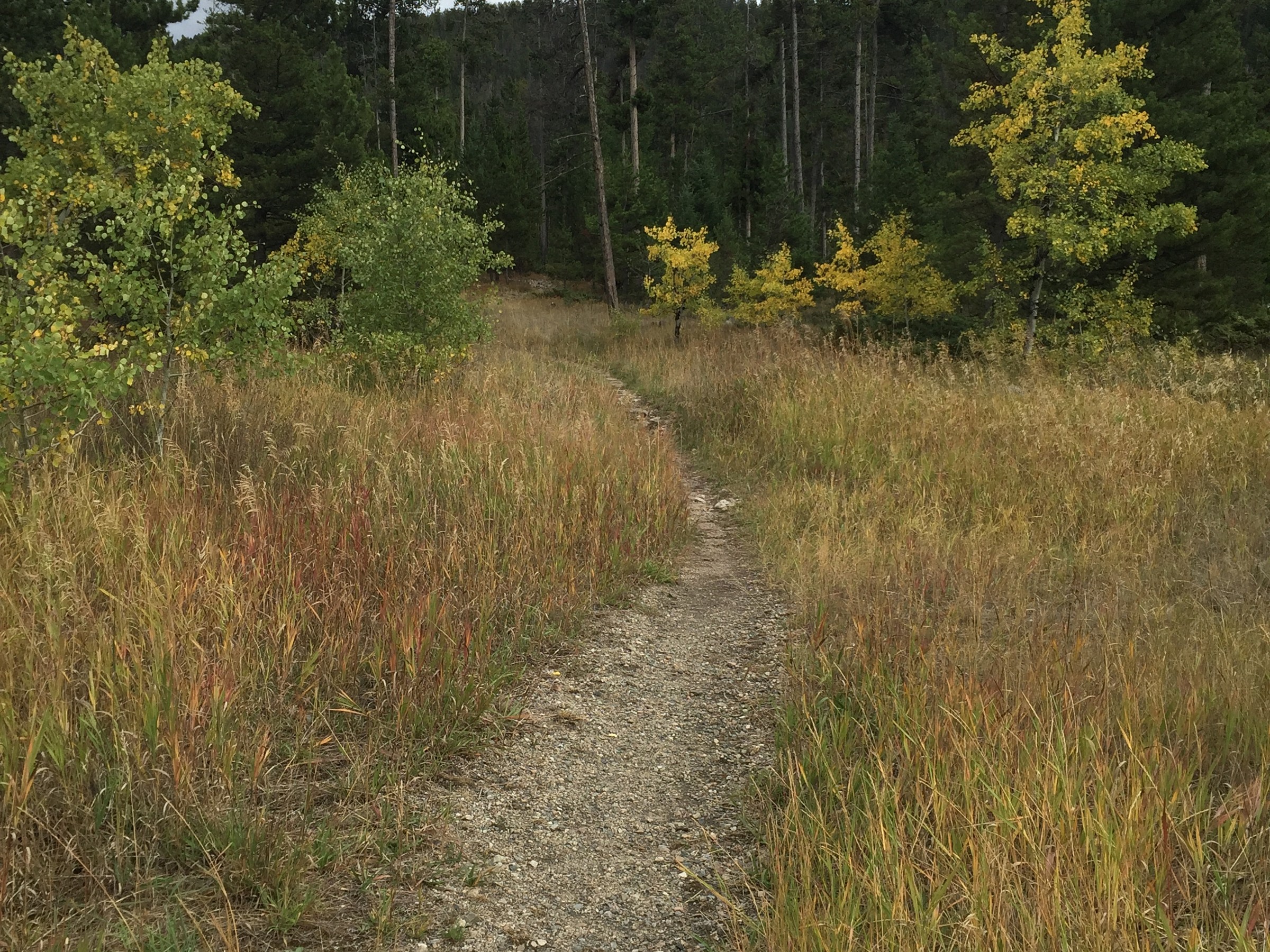 Little Hellroaring Trailhead | Natural Atlas