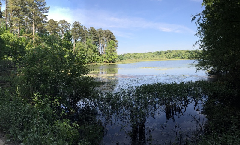 Wheeler National Wildlife Refuge Map, AL – Natural Atlas