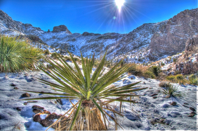 Franklin Mountains State Park Map – Natural Atlas