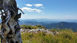 Coeur D Alene National Forest Map – Natural Atlas