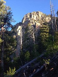 Dixie National Forest Map – Natural Atlas