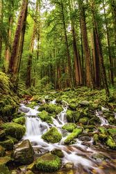 Sol Duc River Map (Olympic) – Natural Atlas