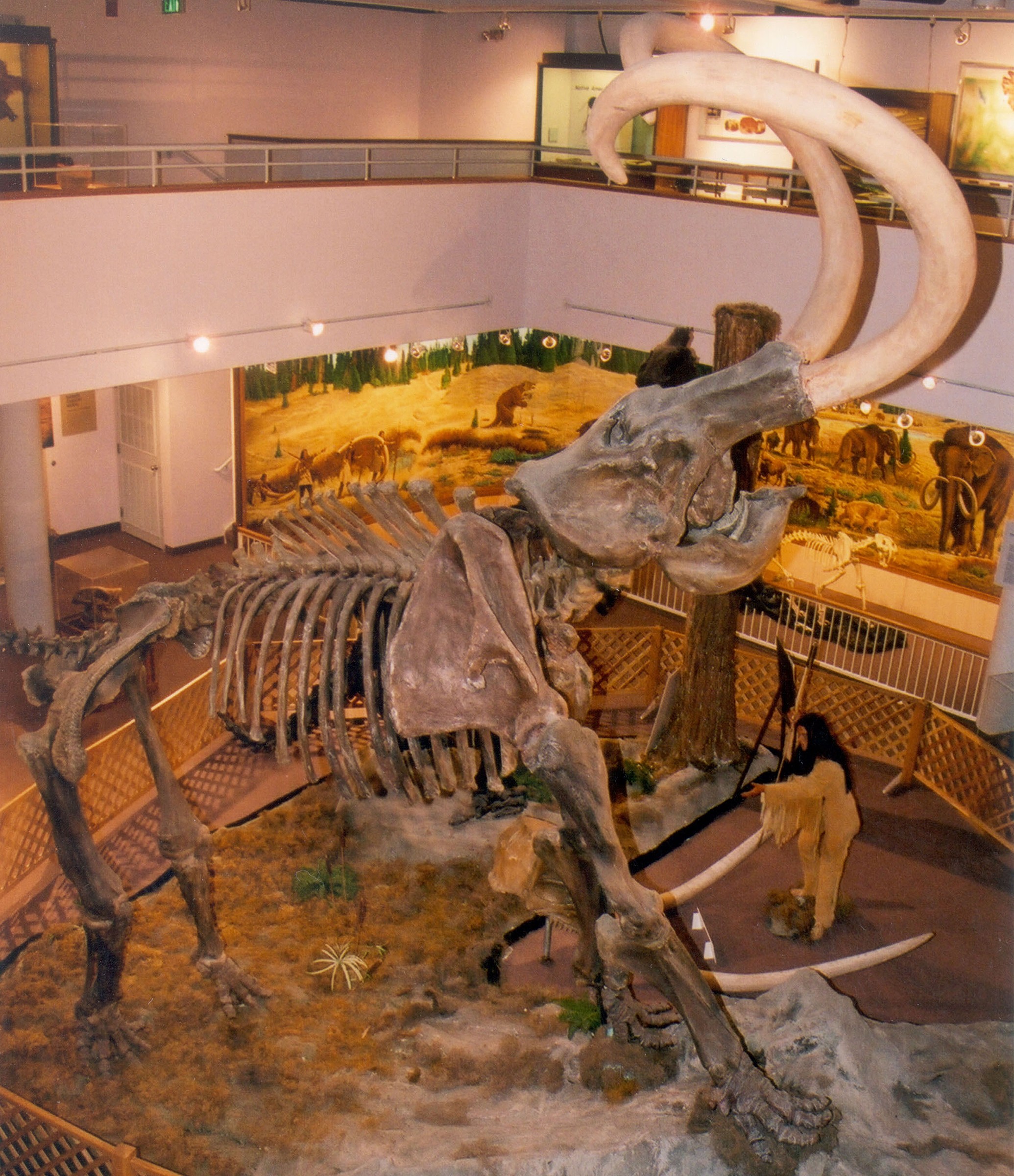 Mammoth | Natural Atlas