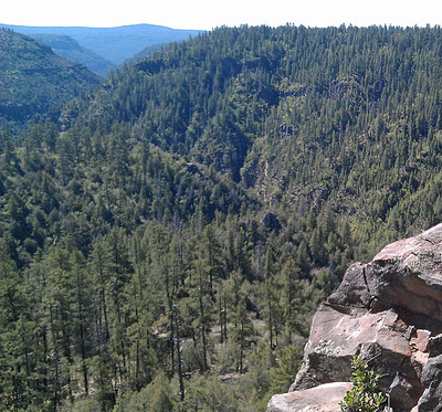 Kaibab National Forest Map – Natural Atlas