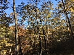 Meramec River Map (Onondaga Cave State Park) – Natural Atlas