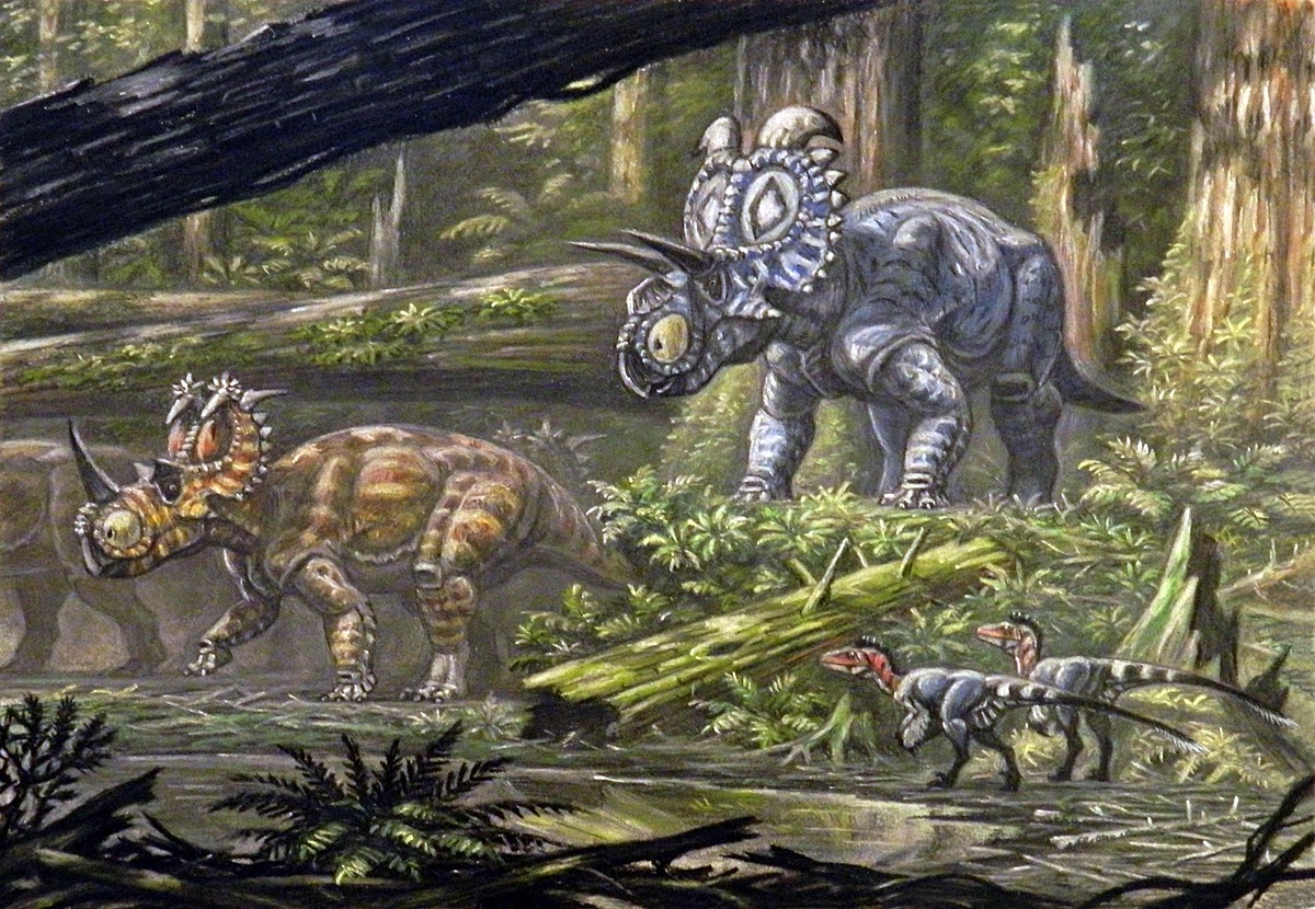 Ceratopsidae | Natural Atlas
