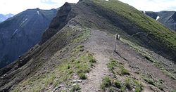 Uncompahgre National Forest Map – Natural Atlas