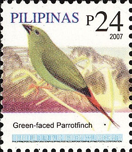 Green-Faced Parrotfinch | Natural Atlas