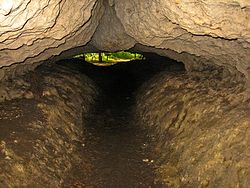 Chipola River Map (Florida Caverns State Park) – Natural Atlas