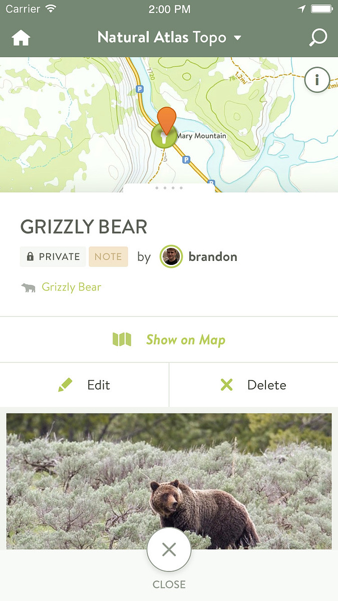 Yellowstone Wildlife Hotspots – Natural Atlas