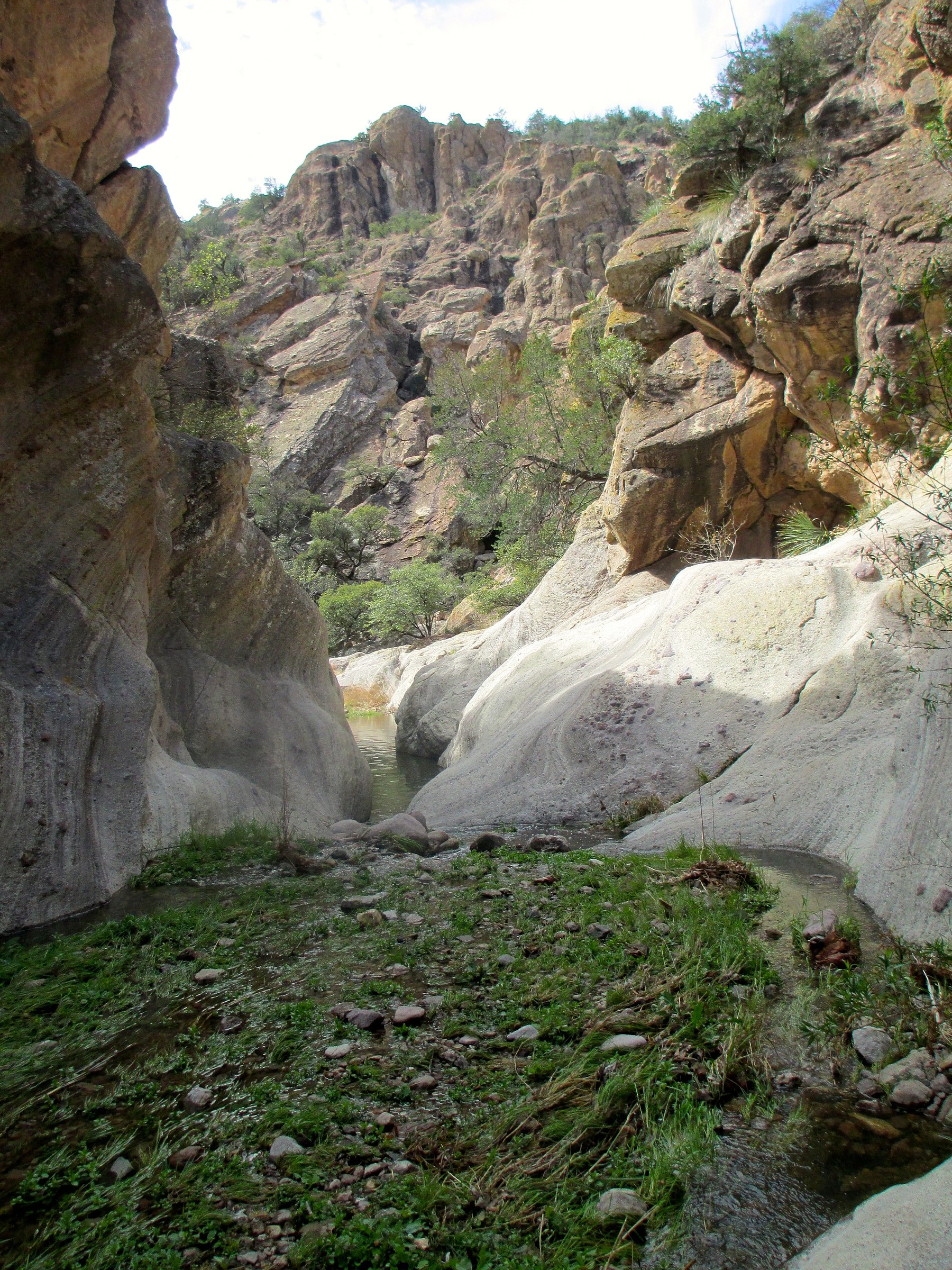 Sycamore Canyon Trailhead | Natural Atlas