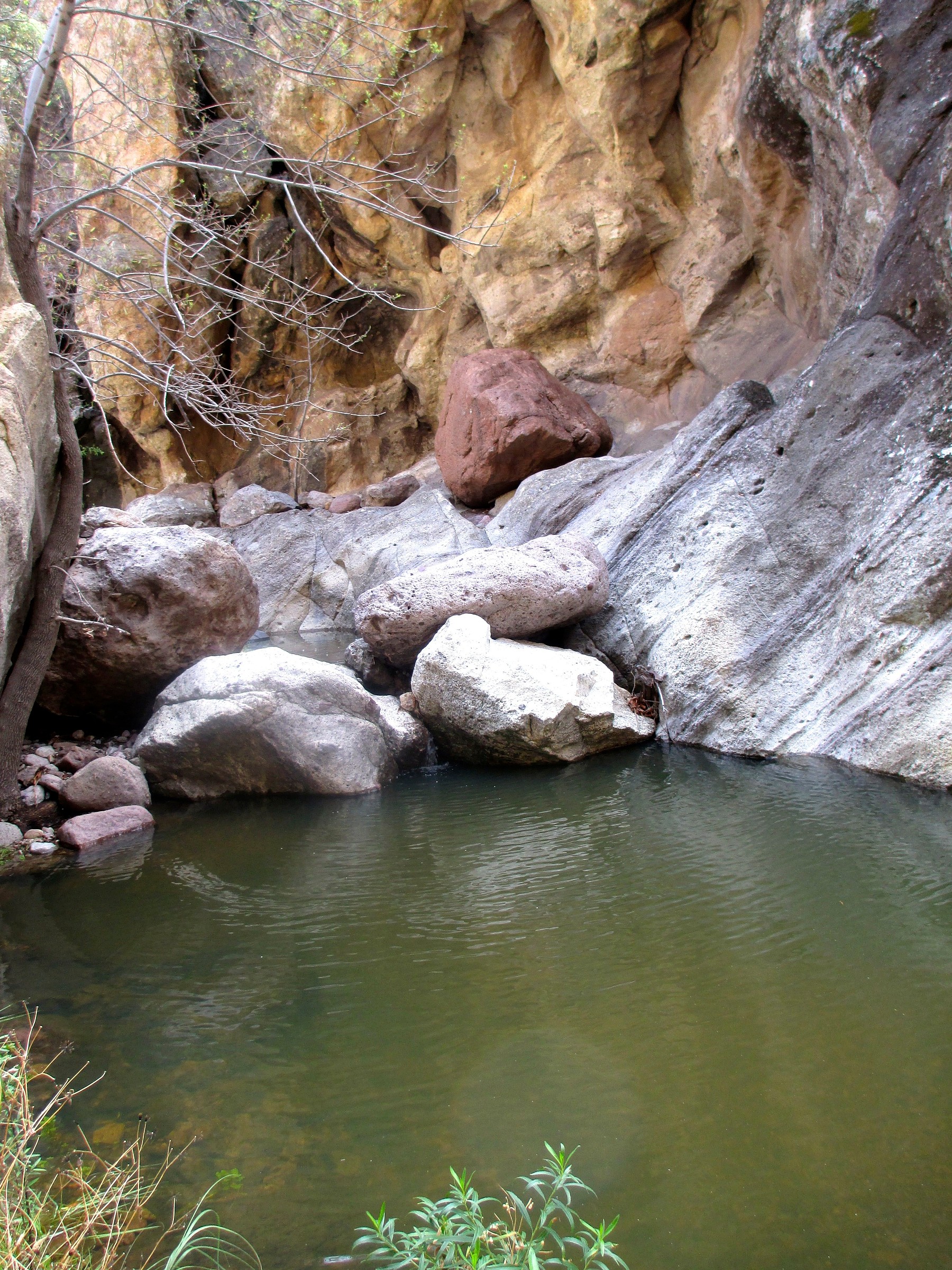 Sycamore Canyon Trailhead | Natural Atlas