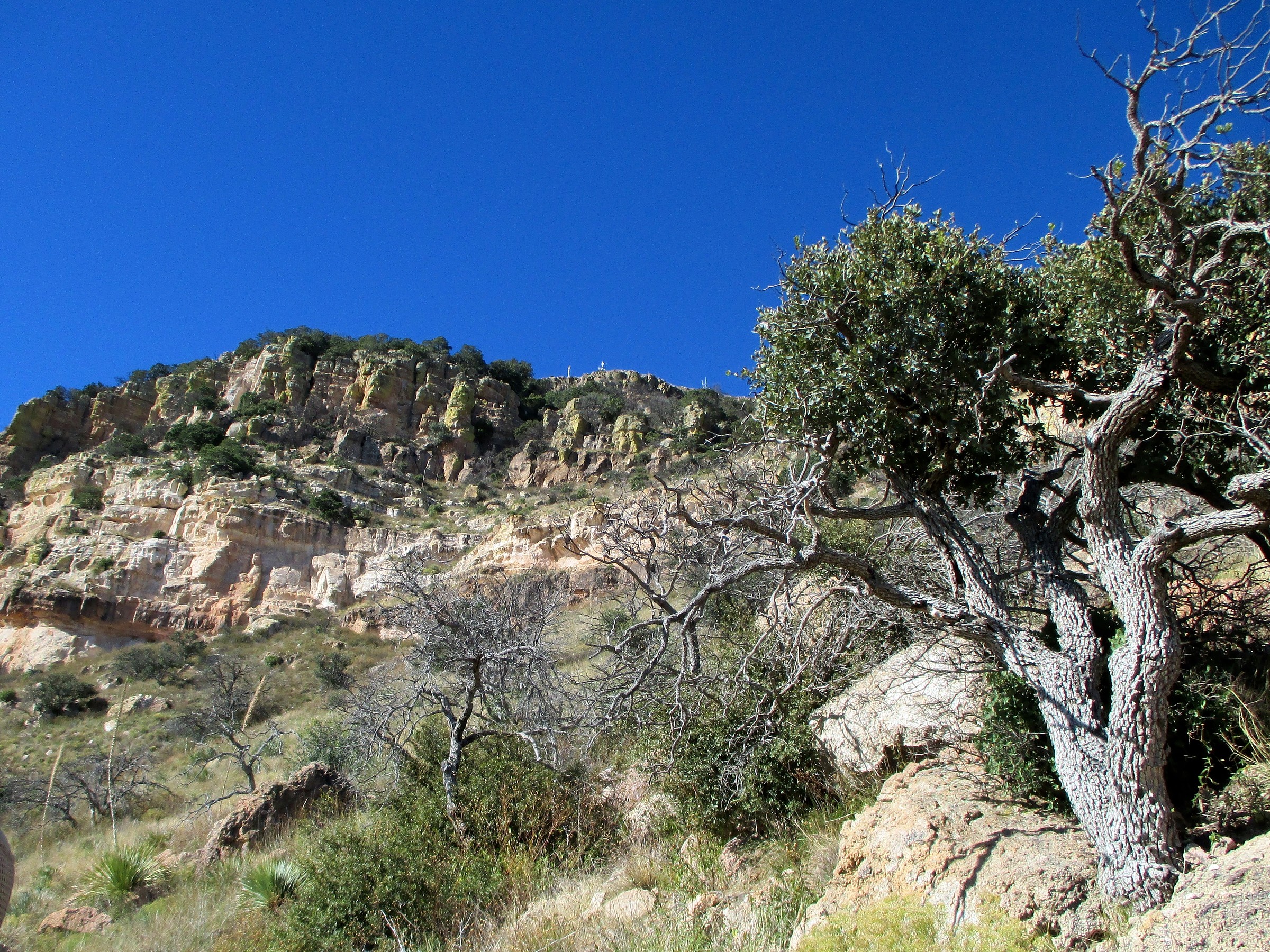 Atascosa Trailhead | Natural Atlas