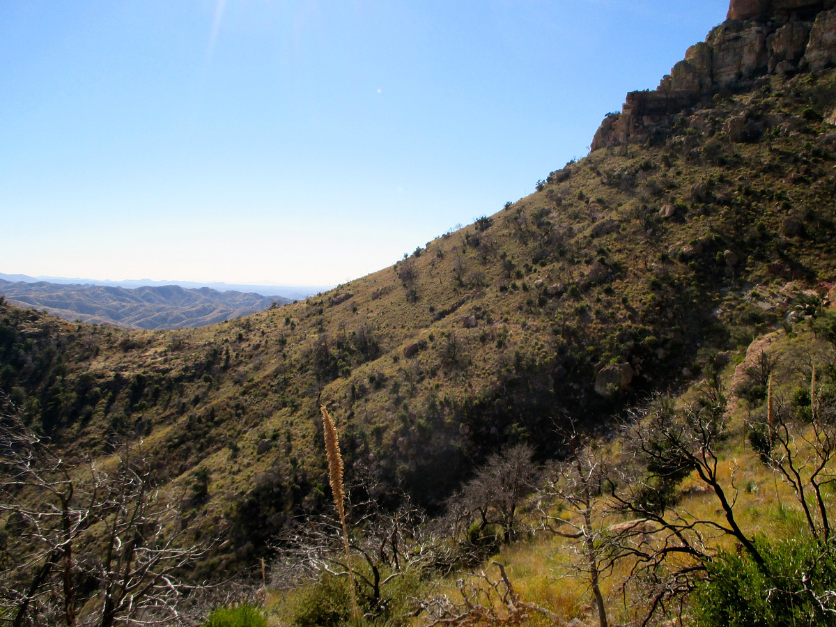 Atascosa Trailhead | Natural Atlas