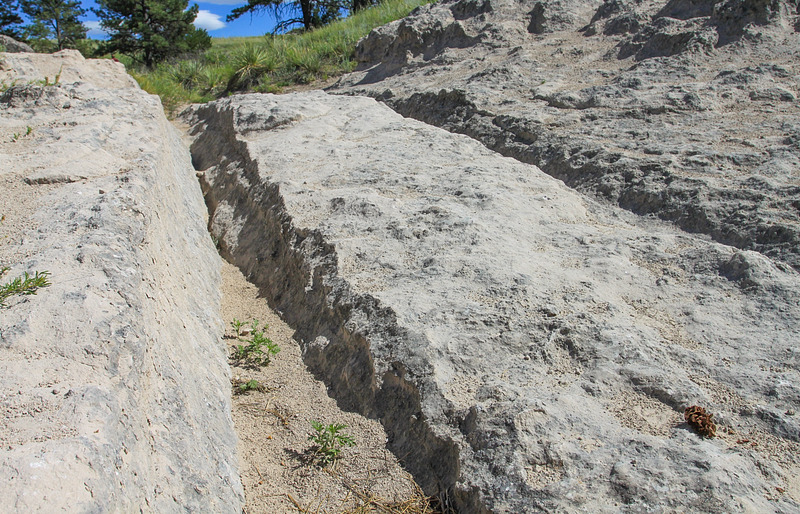 Oregon Trail Ruts Interpretive Trail | Natural Atlas