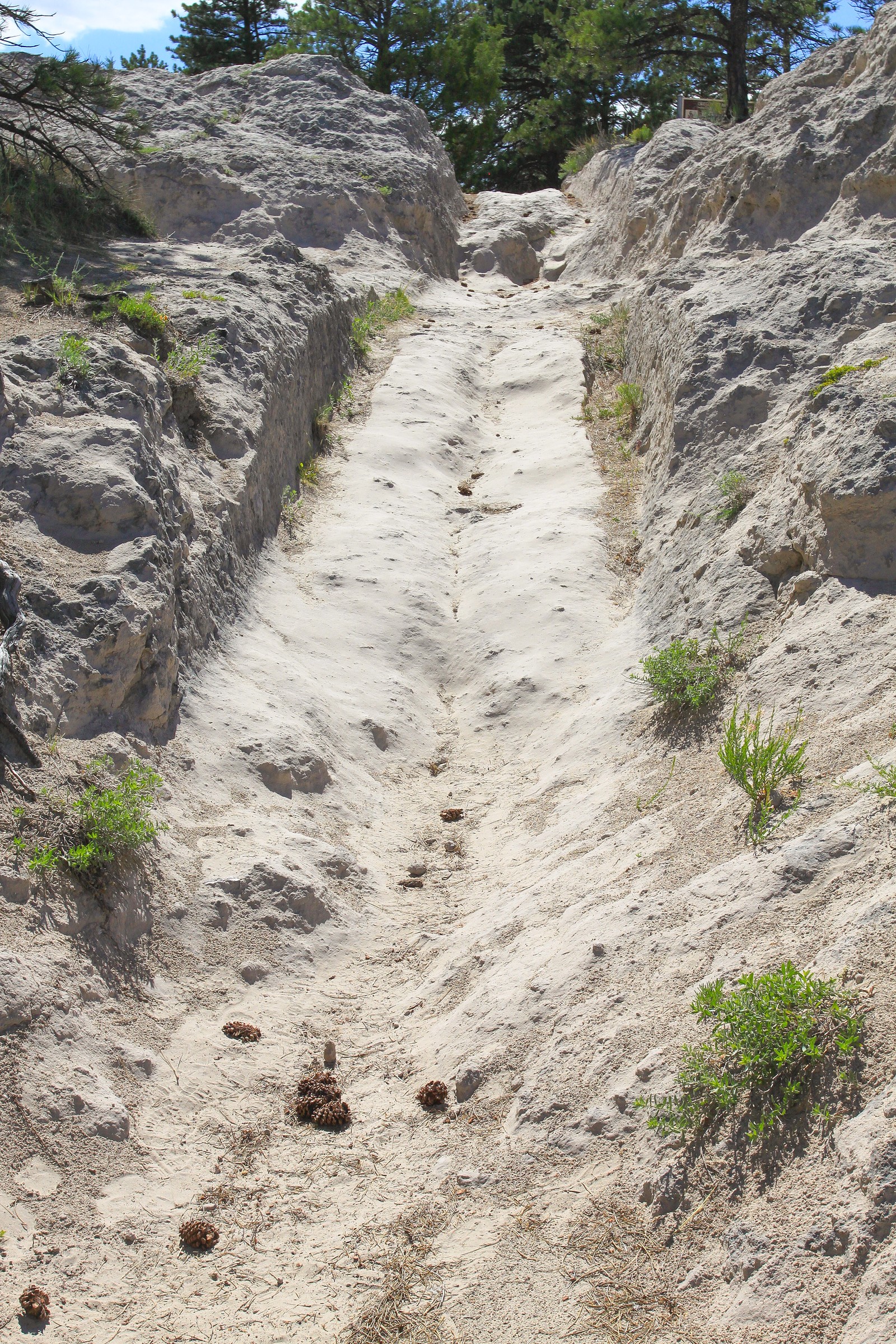 Oregon Trail Ruts Interpretive Trail | Natural Atlas