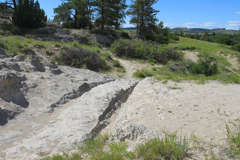 Oregon Trail Ruts Interpretive Trail | Natural Atlas