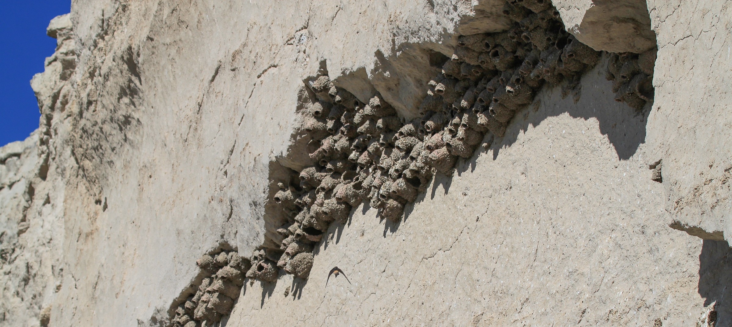 Register Cliff | Natural Atlas