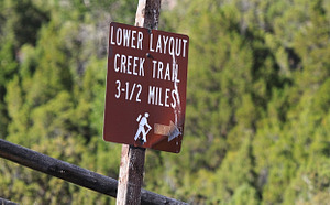 Lower Layout Creek Hike – Natural Atlas