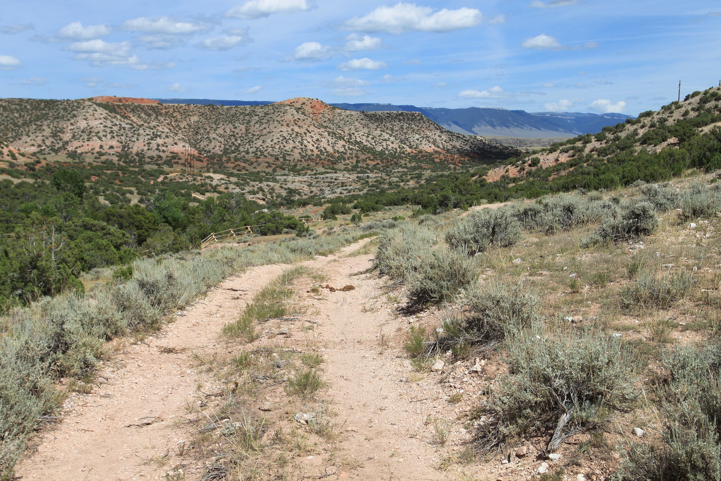 Lower Layout Creek Hike | Natural Atlas