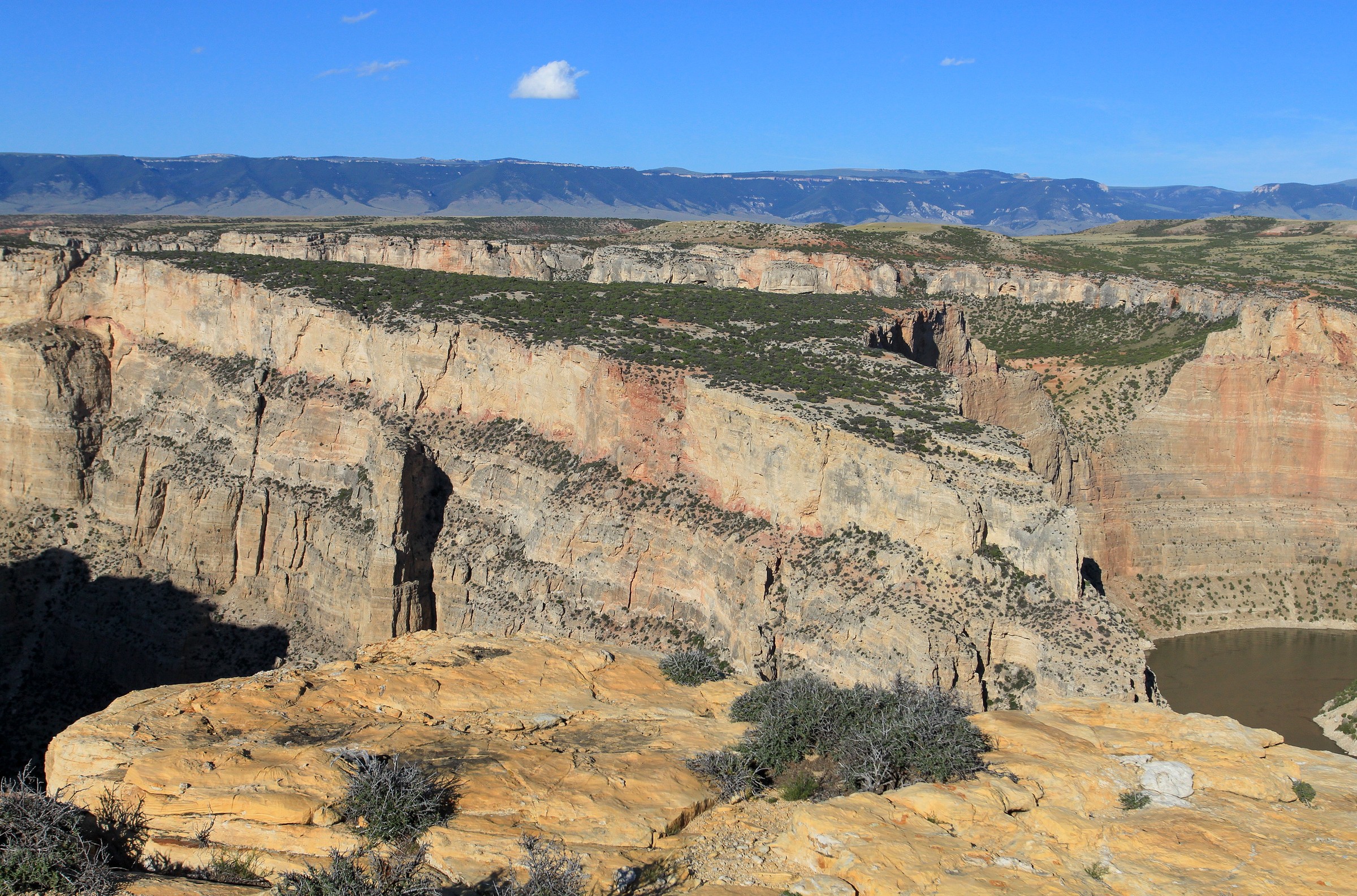 Natural Corrals | Natural Atlas