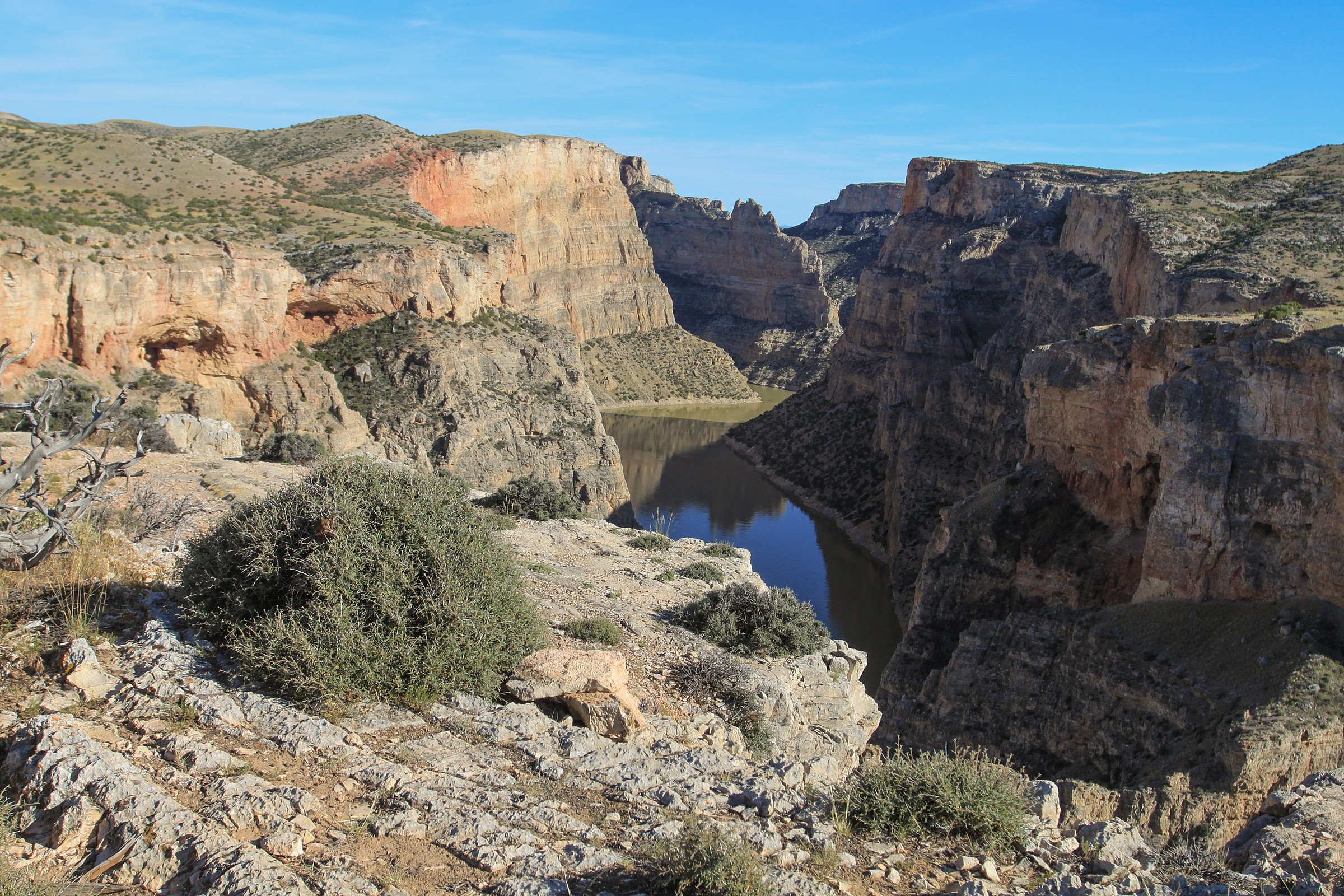 Sullivan's Knob Trail | Natural Atlas