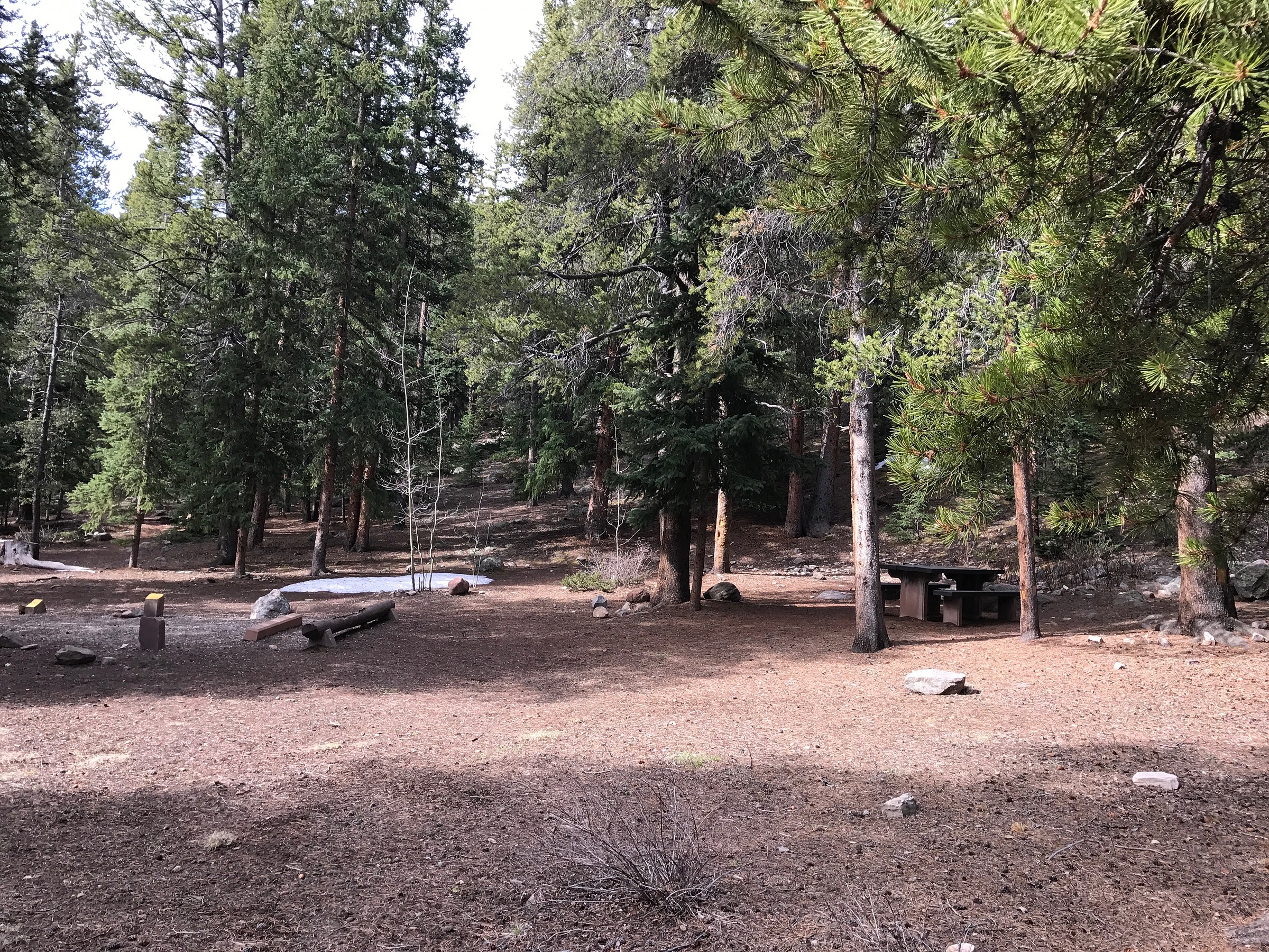 Weston Pass Campground | Natural Atlas
