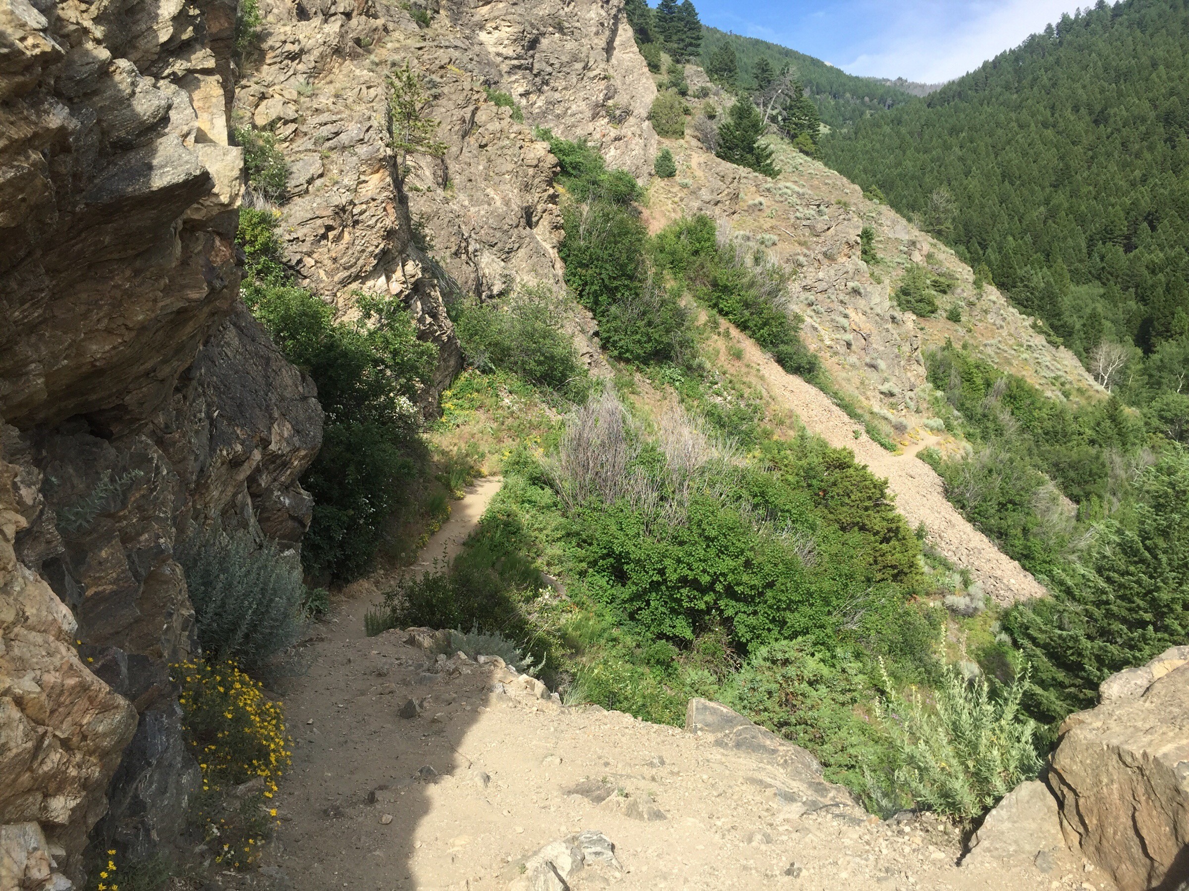 Sypes Canyon Hike | Natural Atlas