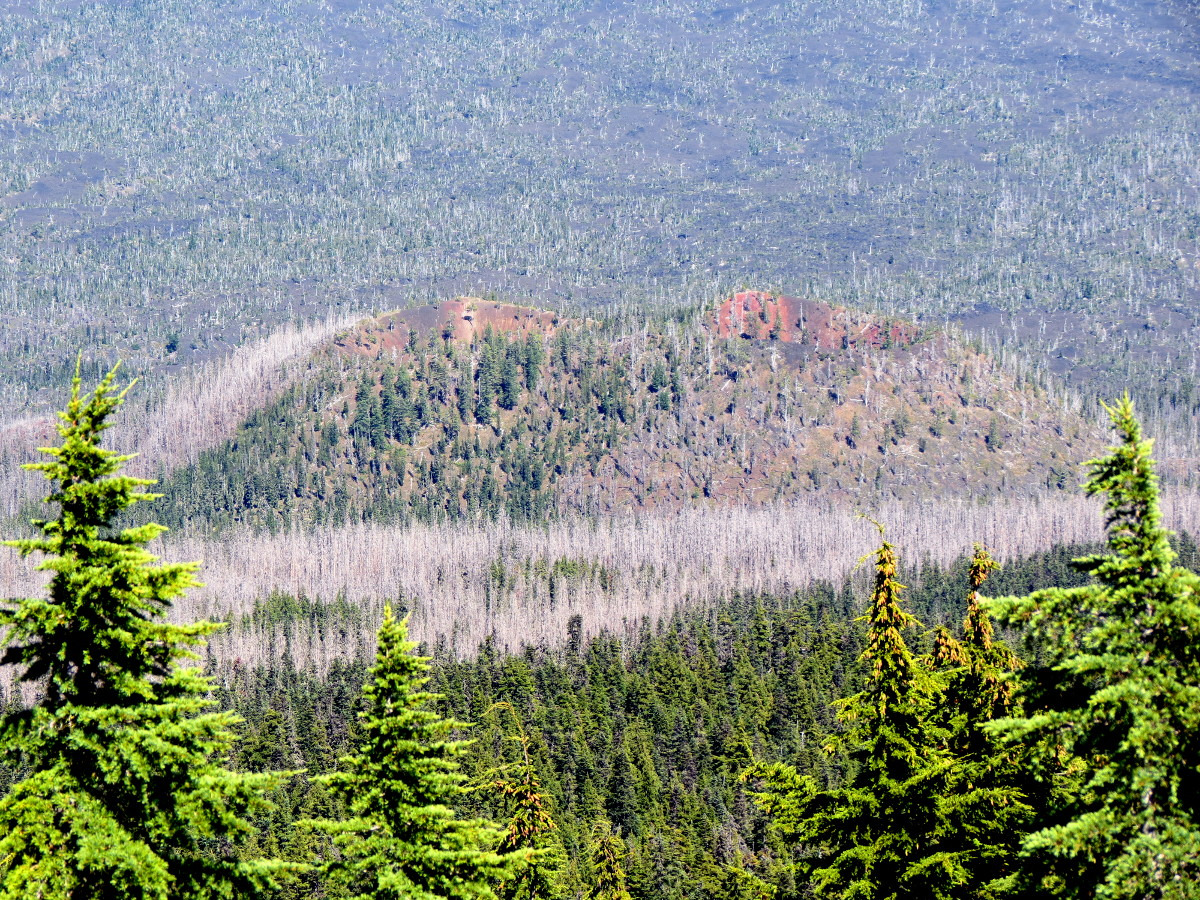 Mount Washington Wilderness Map, OR – Natural Atlas