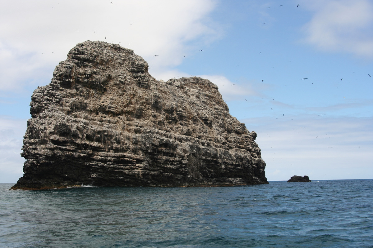 La Perouse Pinnacle | Natural Atlas