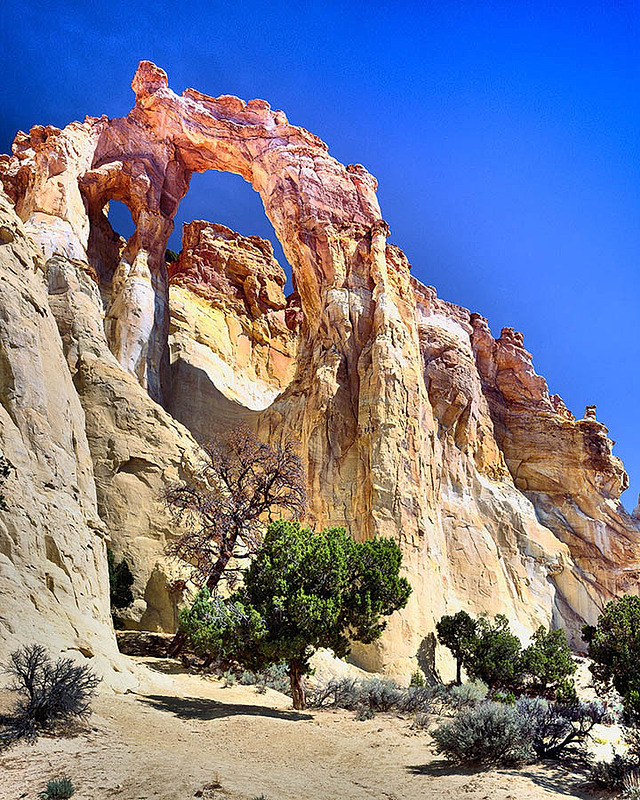 Grosvenor Arch | Natural Atlas