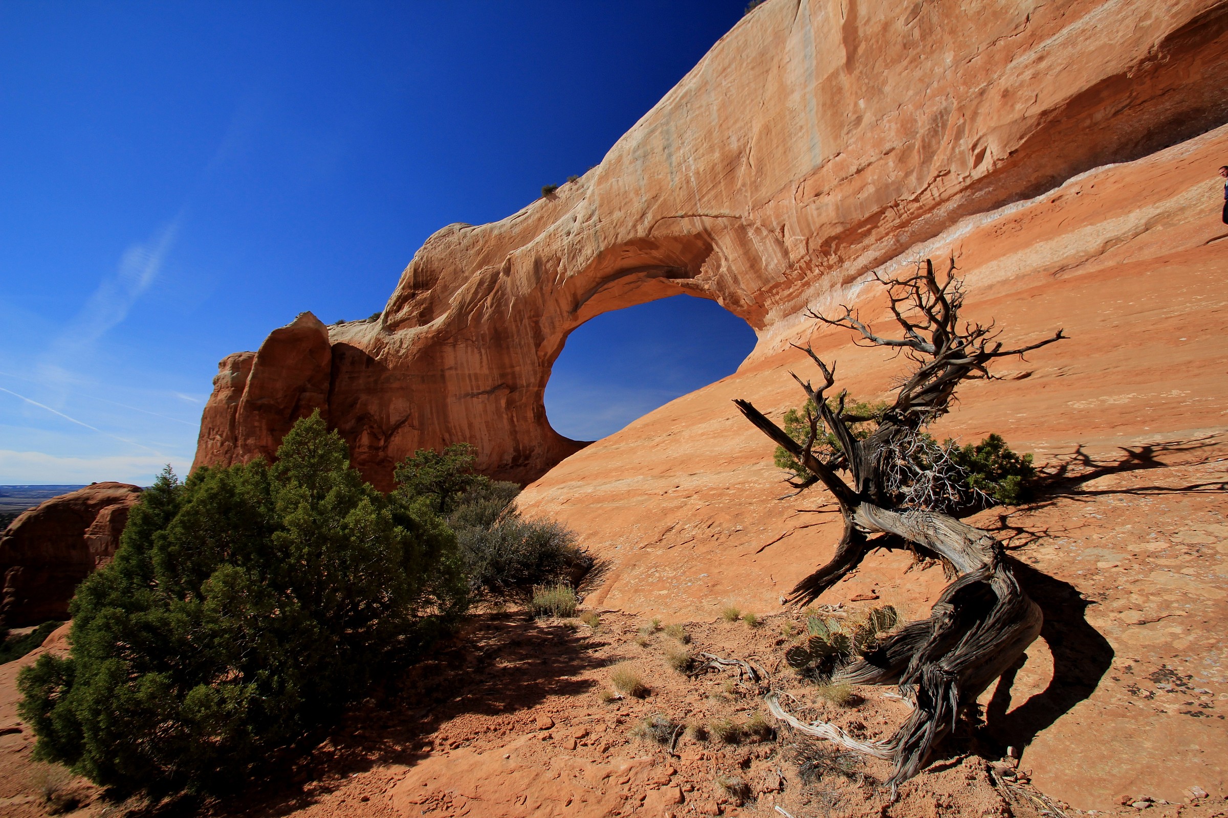 Wilson Arch | Natural Atlas