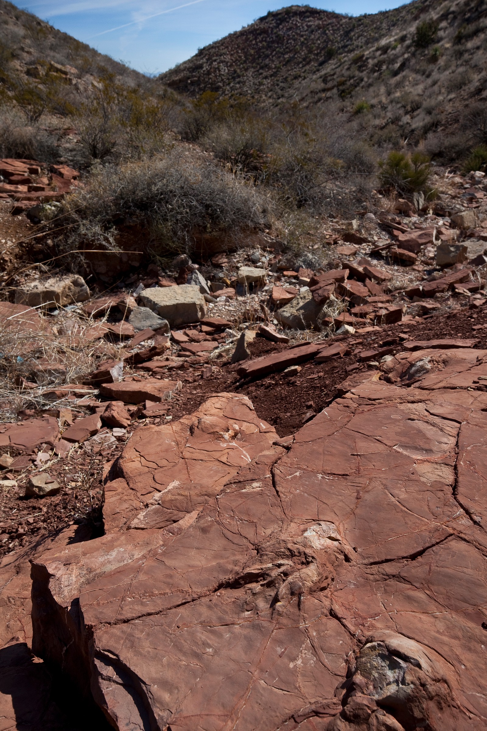 Prehistoric Trackways National Monument | Natural Atlas