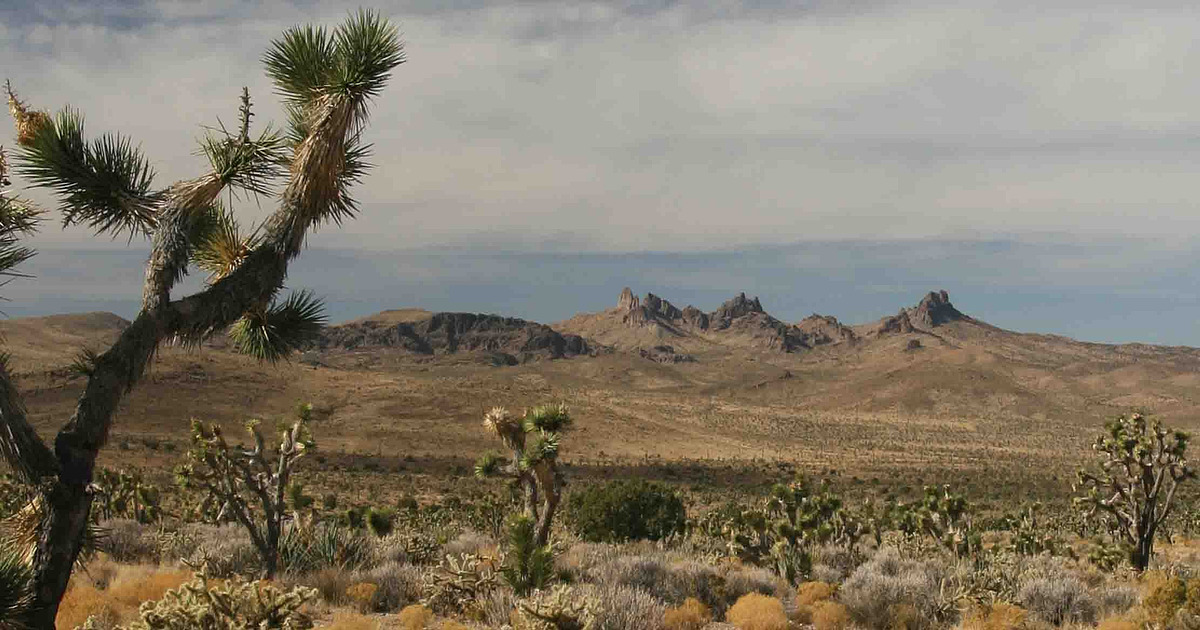 Castle Mountains National Monument | Natural Atlas