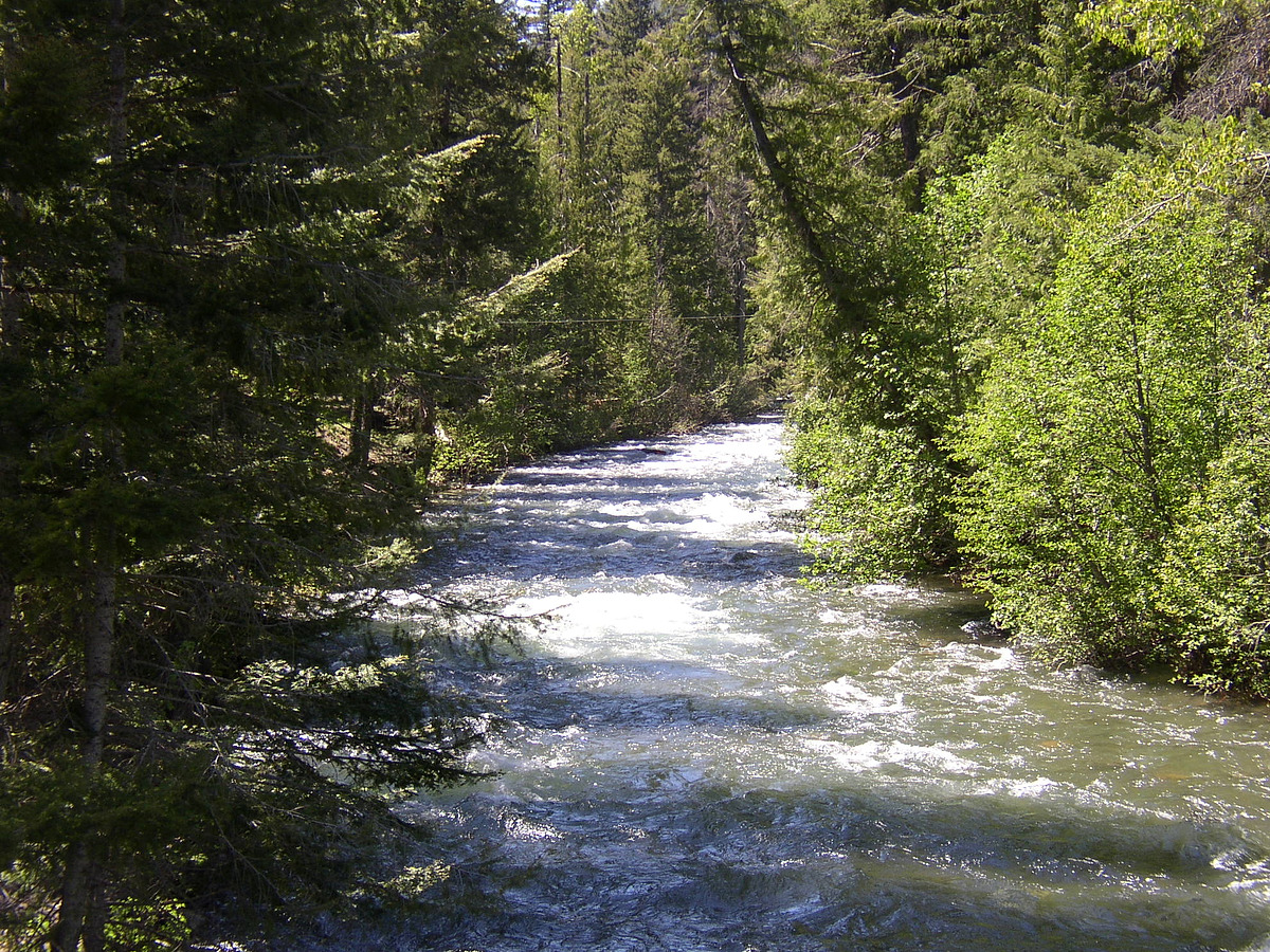 Wenatchee National Forest | Natural Atlas