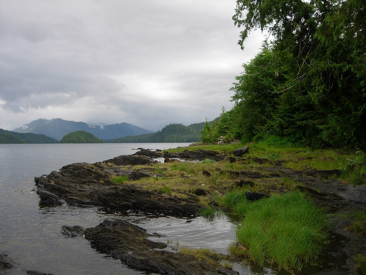 Tongass National Forest | Natural Atlas