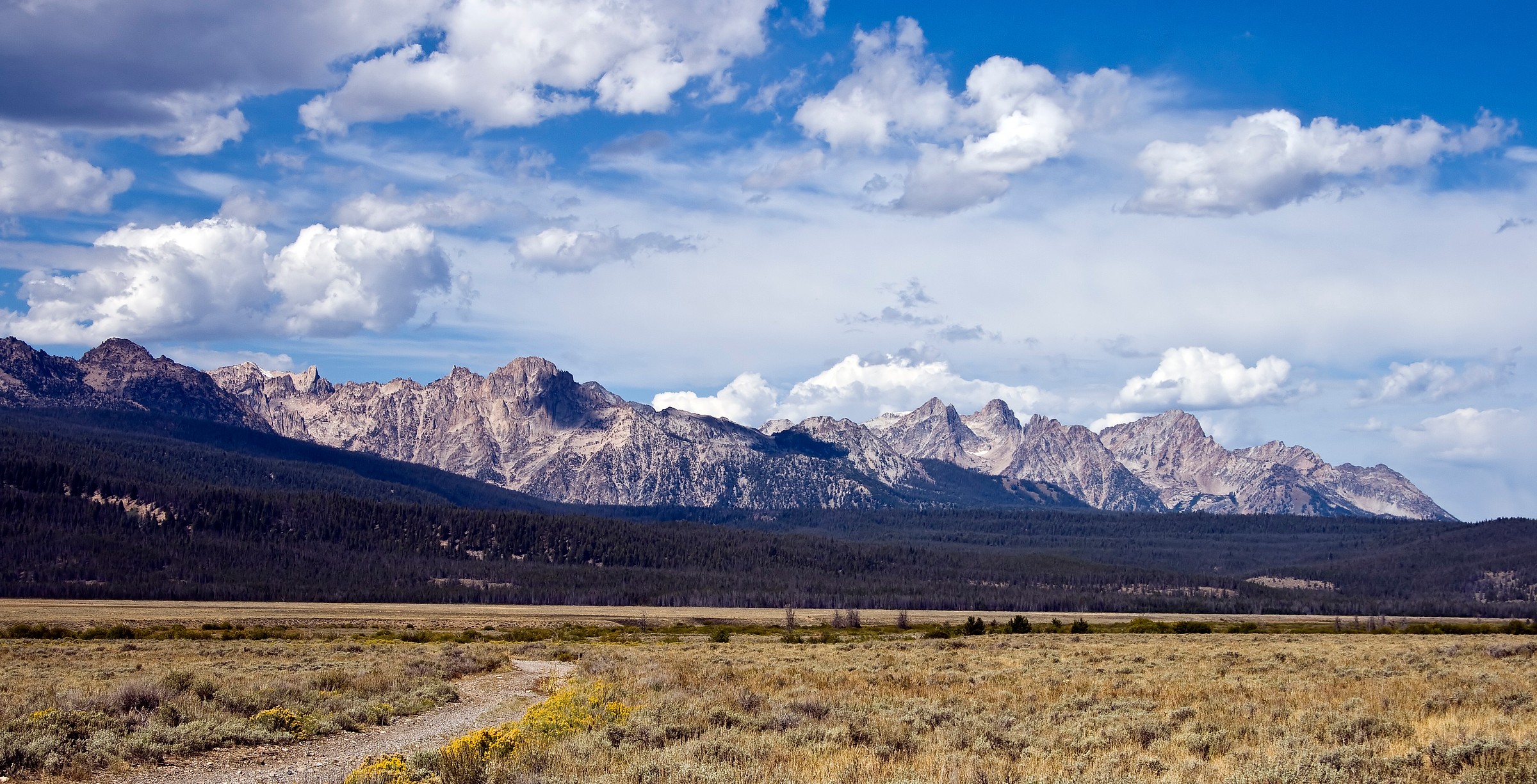 Sawtooth National Forest | Natural Atlas
