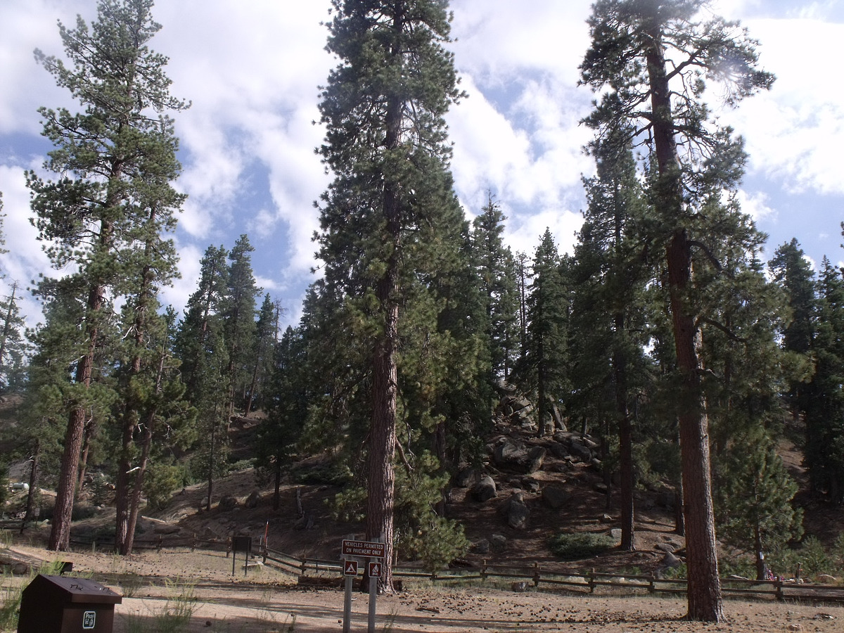 San Bernardino National Forest | Natural Atlas