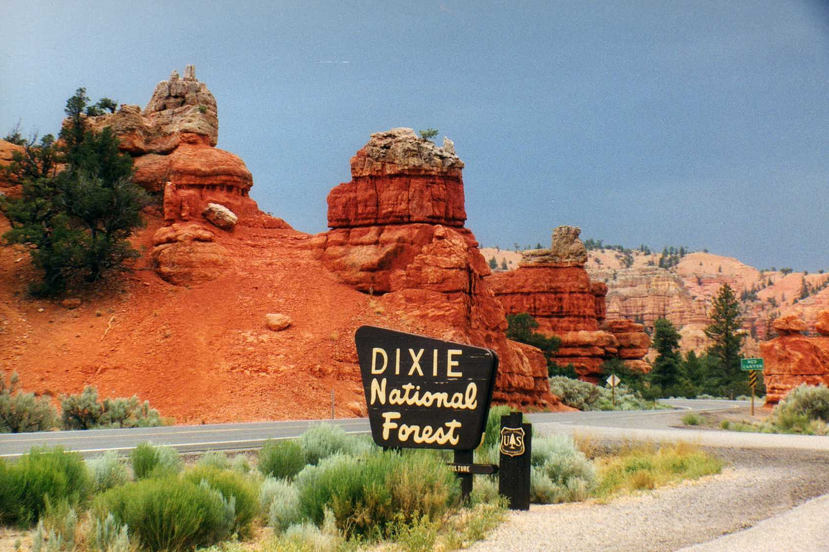 Dixie National Forest | Natural Atlas