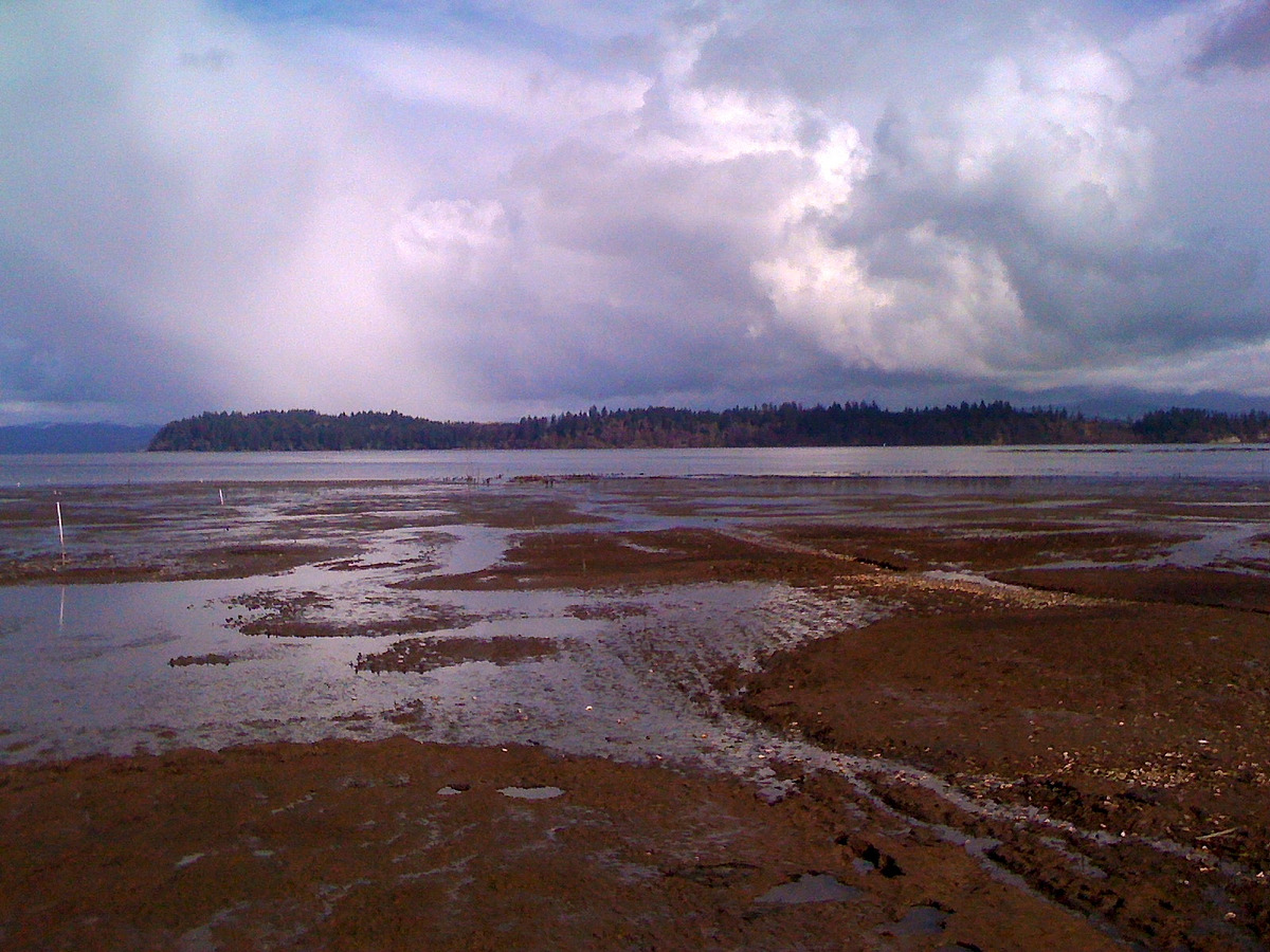 Willapa National Wildlife Refuge | Natural Atlas