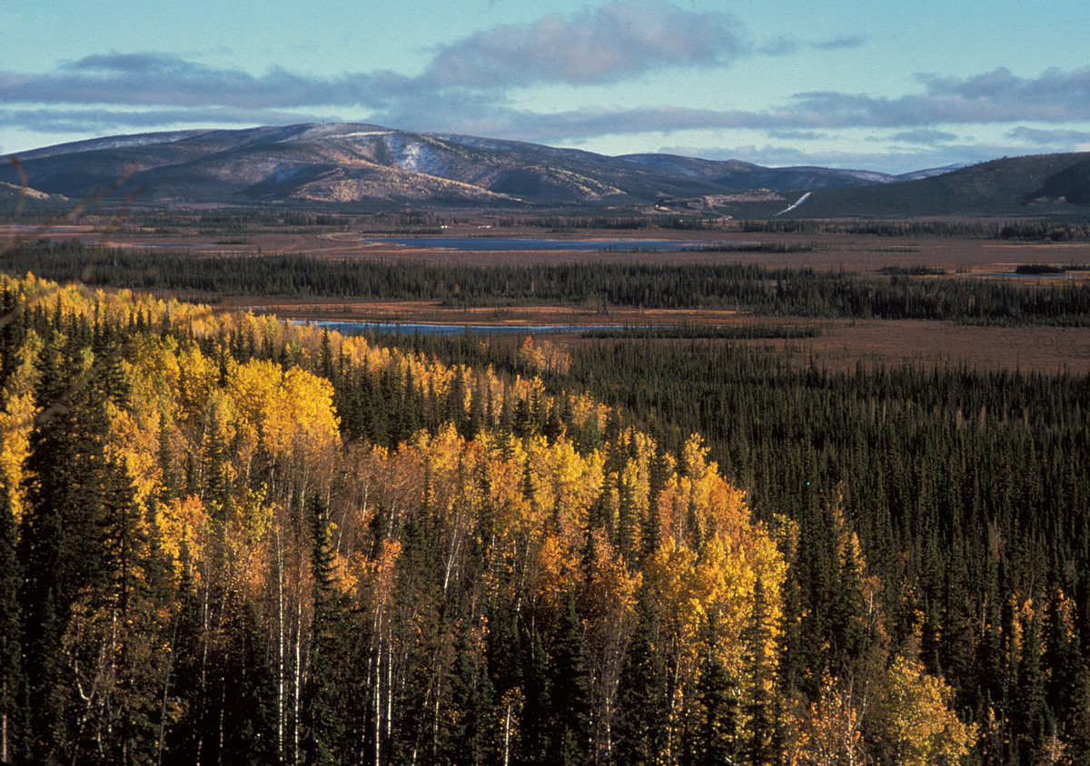 Tetlin National Wildlife Refuge | Natural Atlas