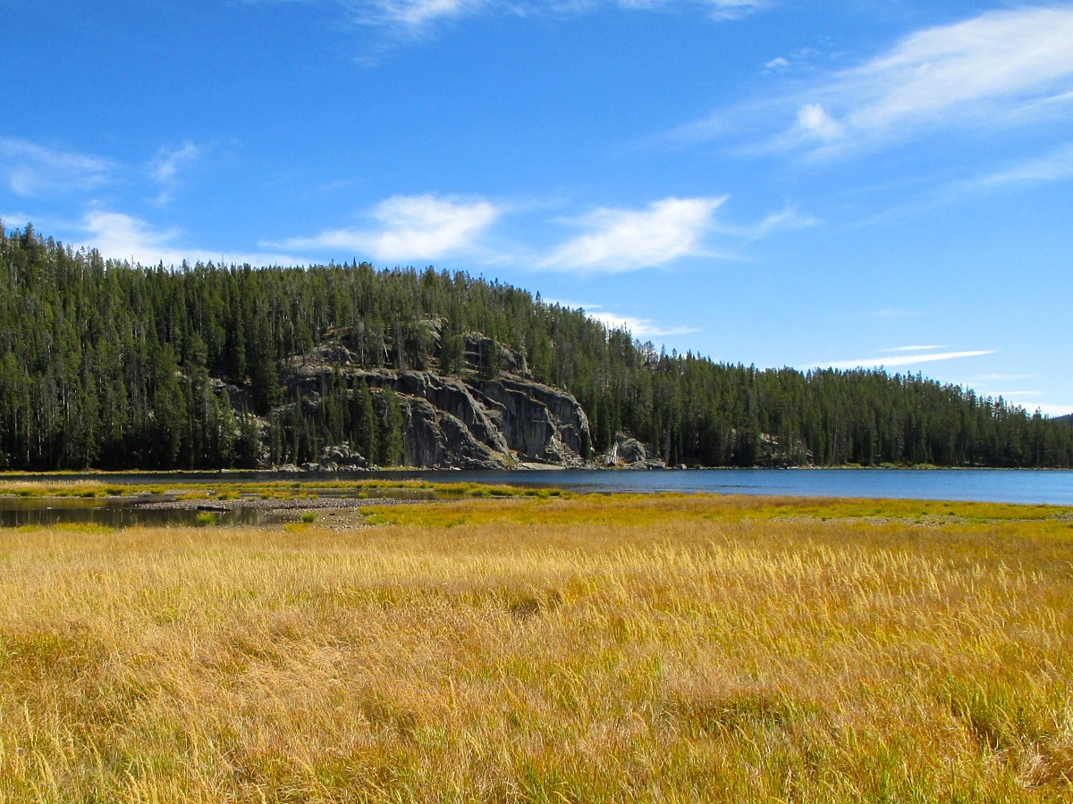 Gallatin National Forest Map – Natural Atlas