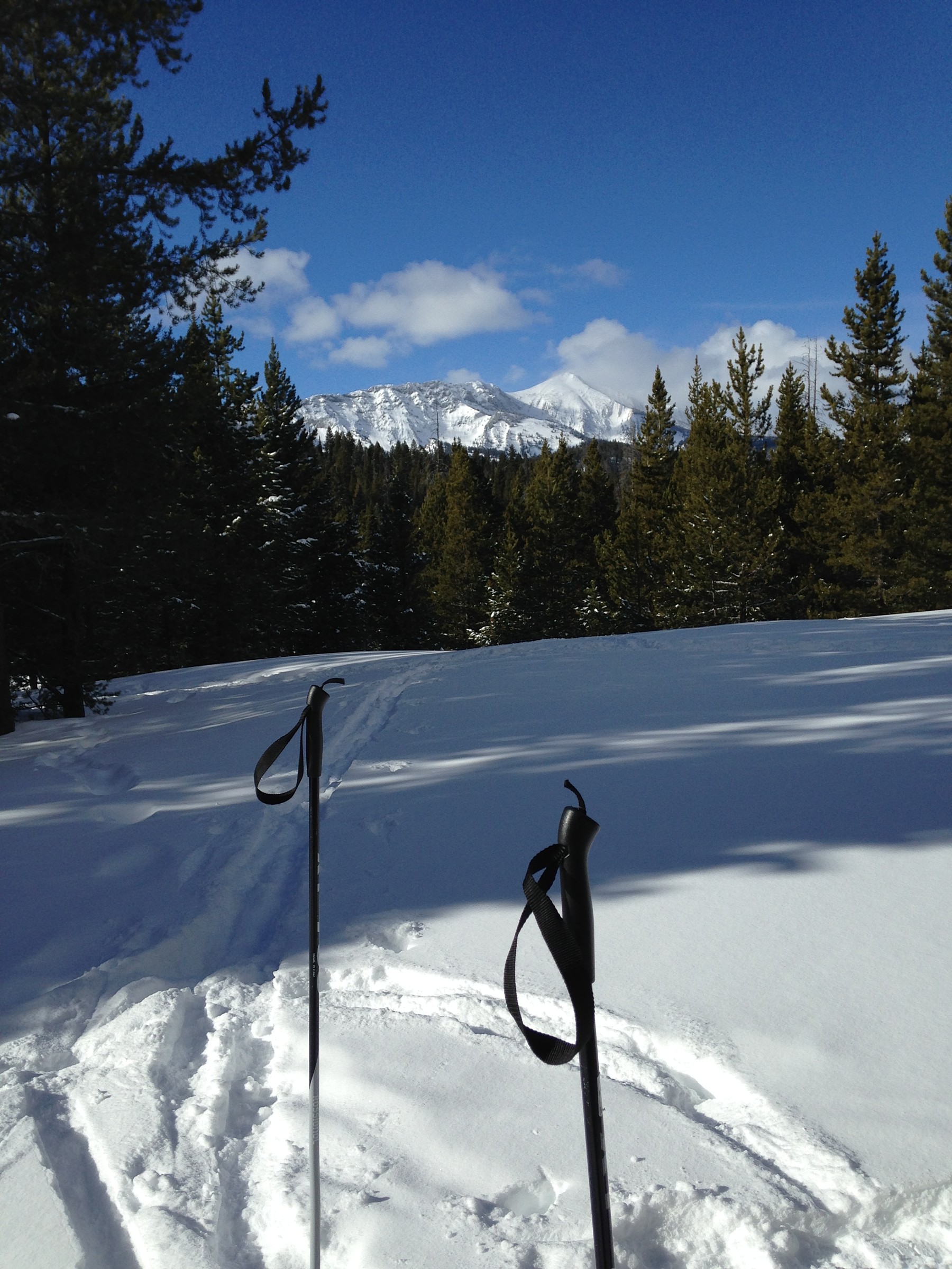 Ross Pass Trailhead | Natural Atlas