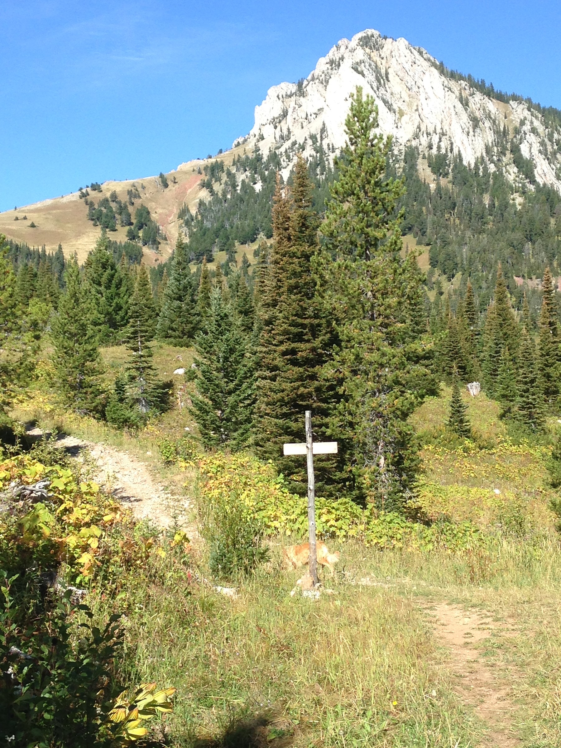 Ross Pass Trailhead | Natural Atlas