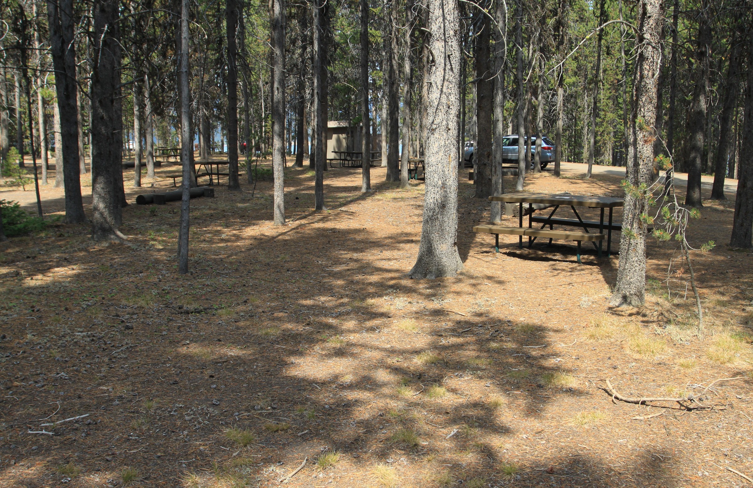 Gull Point Picnic Area | Natural Atlas