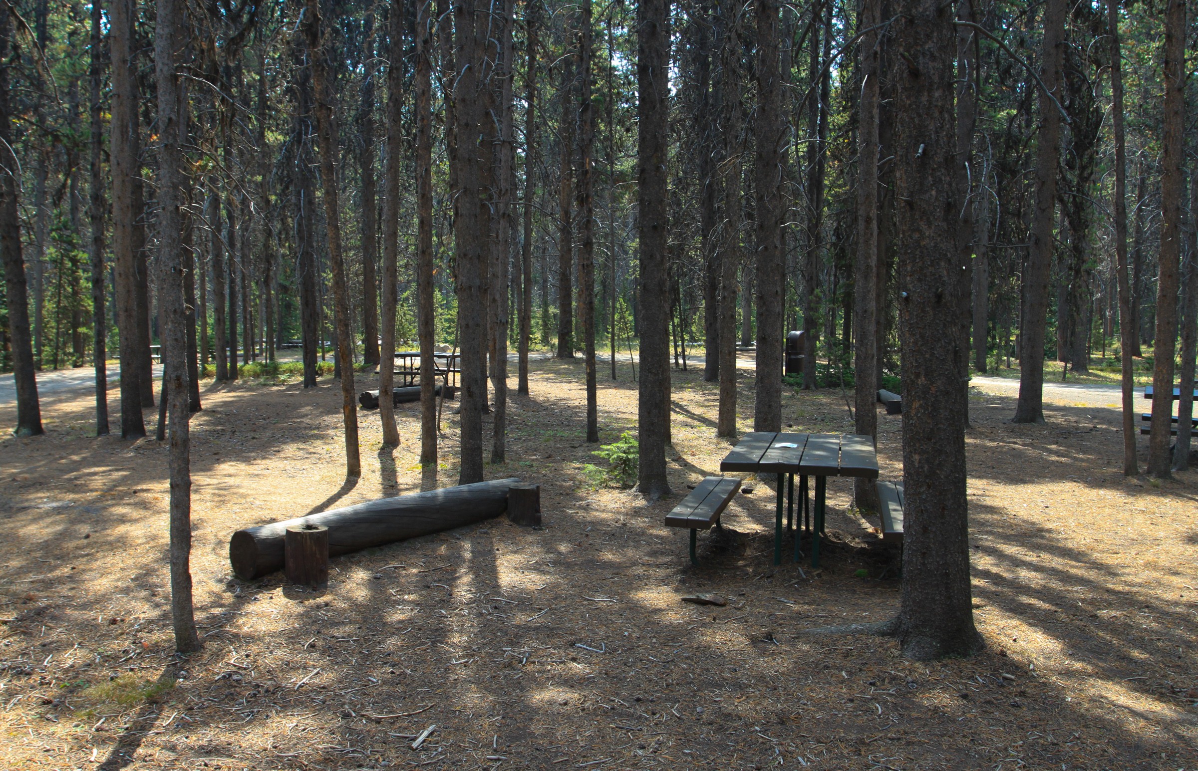 Gull Point Picnic Area | Natural Atlas