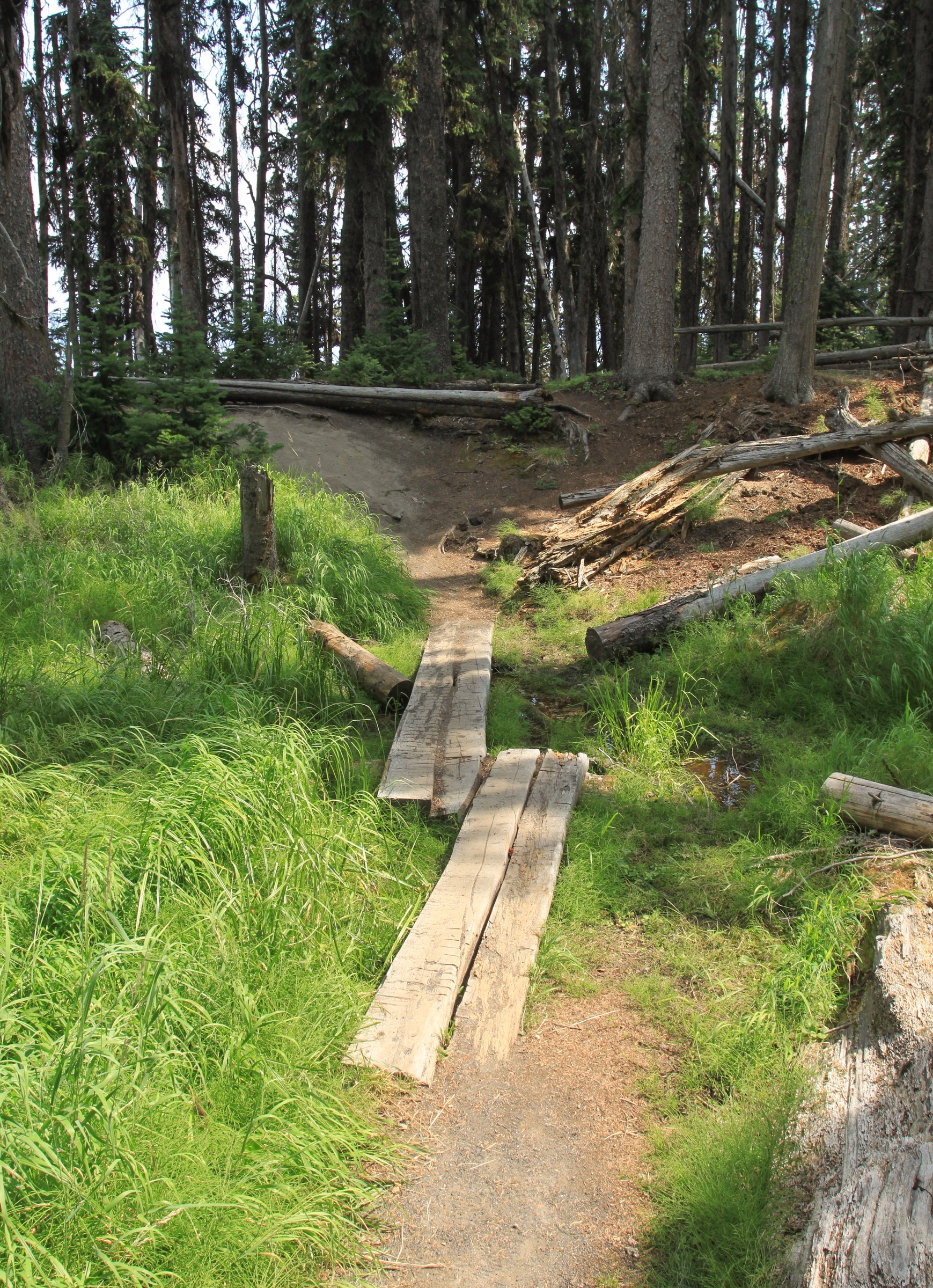 Sand Point Picnic Area | Natural Atlas