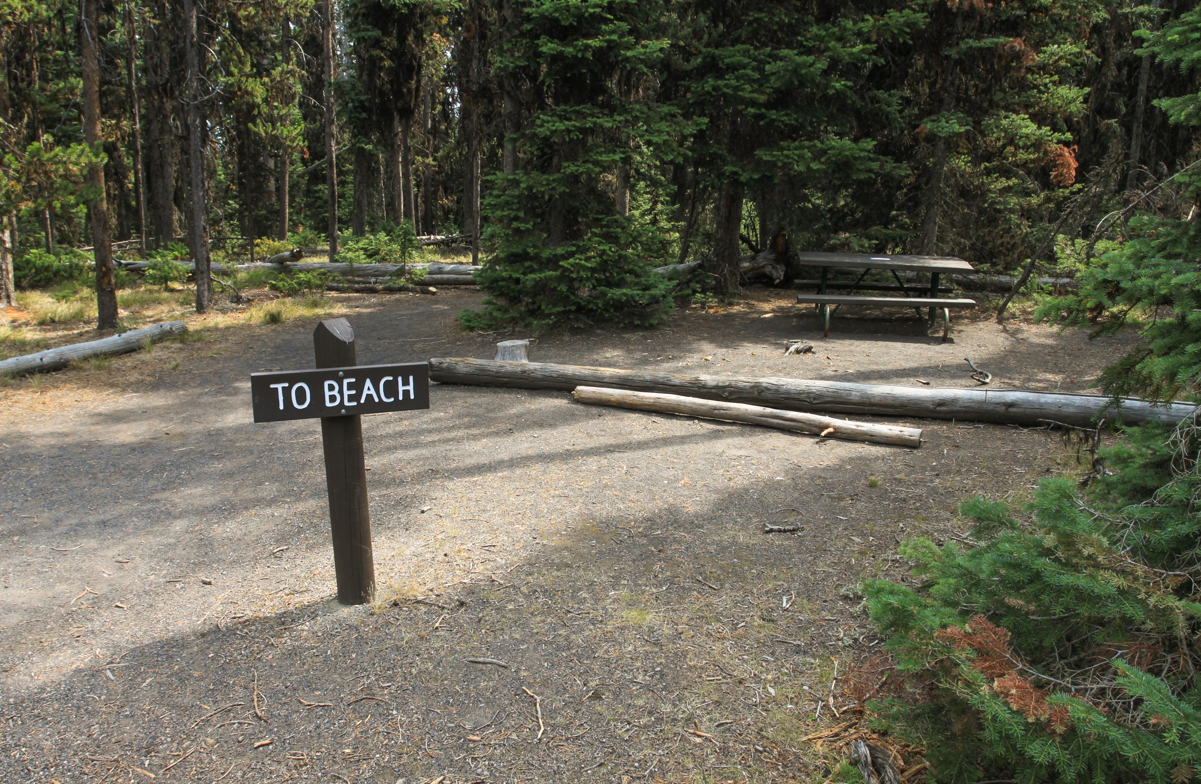 Sand Point Picnic Area | Natural Atlas