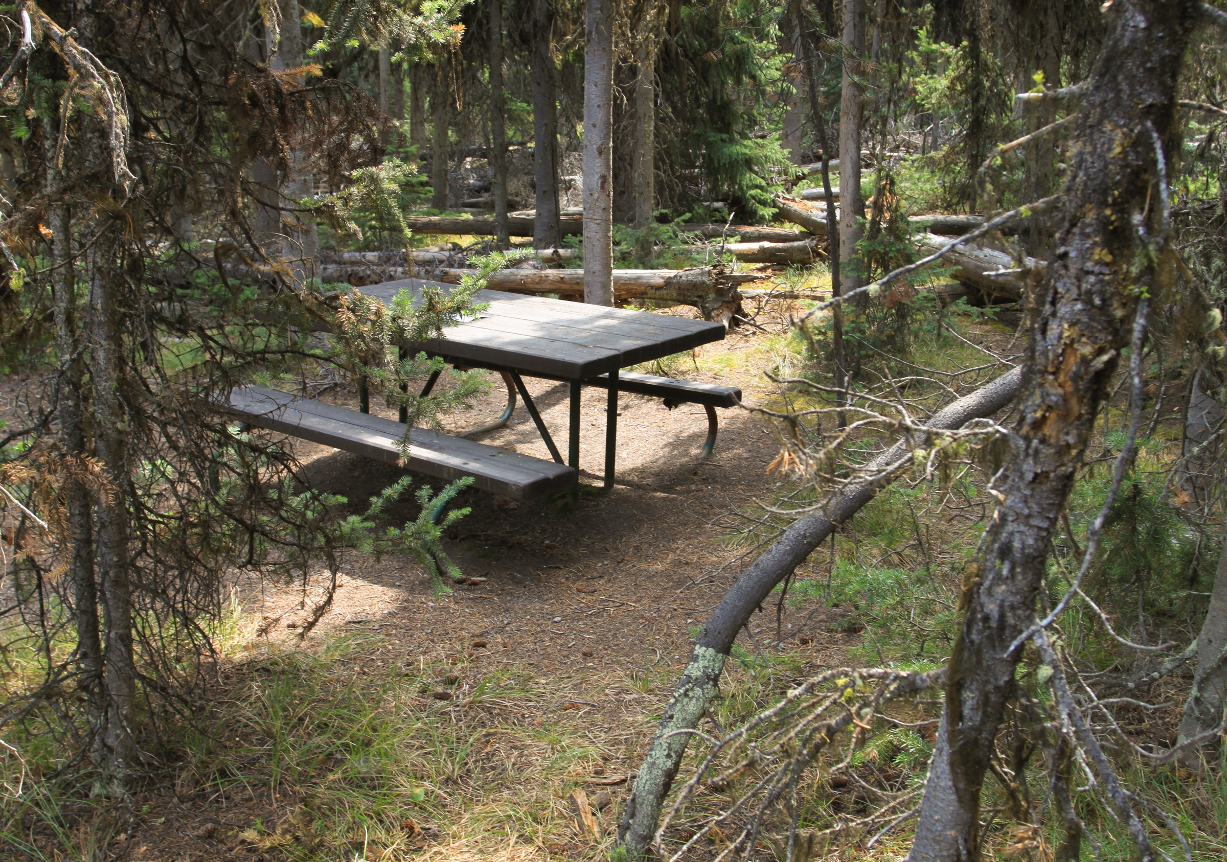 Sand Point Picnic Area | Natural Atlas